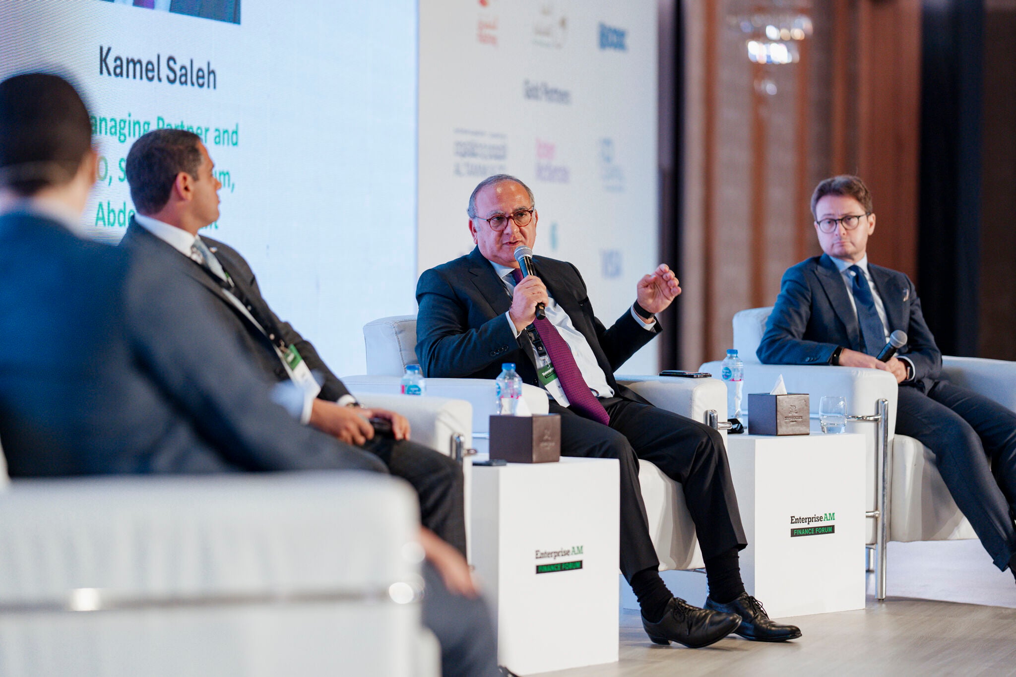 Kamel Saleh sheds light on Egypt's economic outlook for 2025 | Grant ...